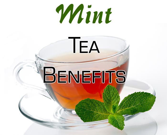 Mint Tea Benefits Healthy Focus