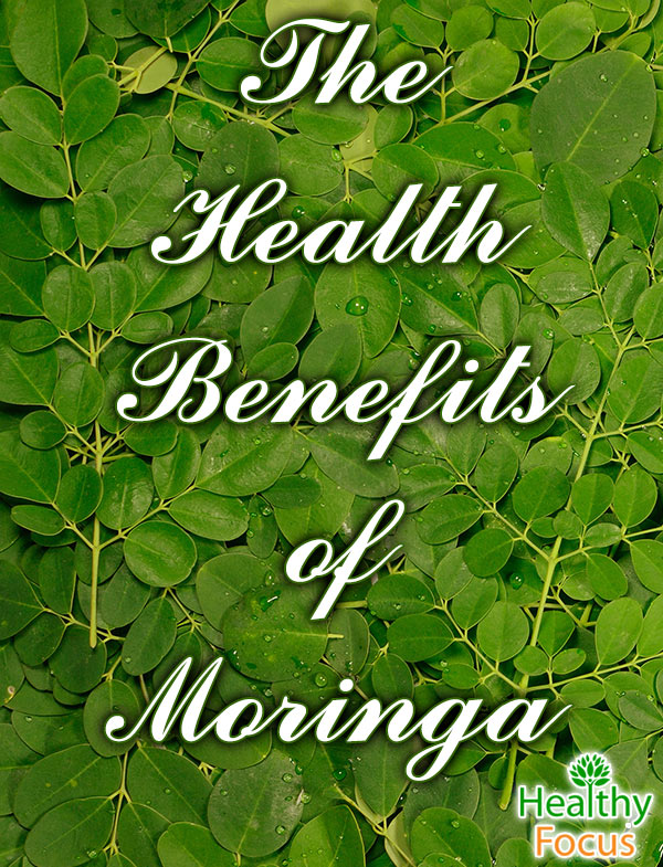 The Benefits of Moringa - Healthy Focus