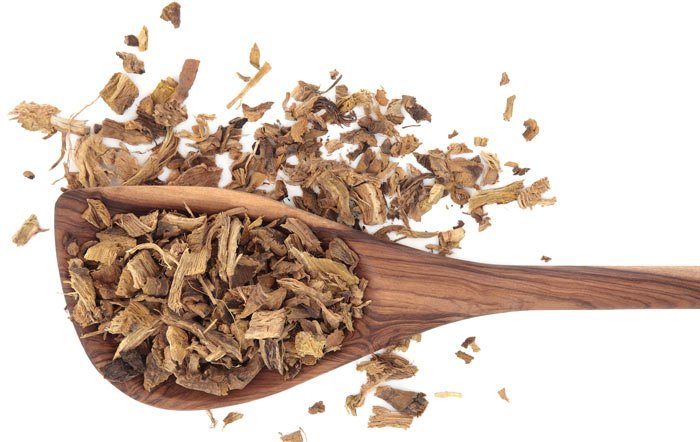 7 Powerful Blood Cleansing Herbs - Healthy Focus