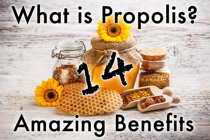 What is Propolis? 14 Amazing Benefits - Healthy Focus