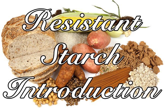 Resistant Starch Introduction - Healthy Focus