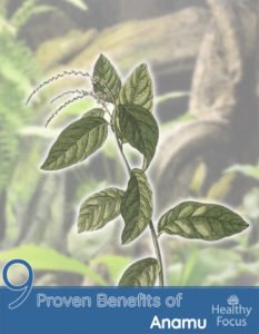 9 Proven Benefits of Anamu - Healthy Focus