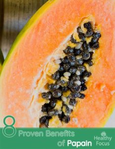8 Proven Benefits of Papain - Healthy Focus