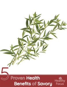 5 Proven Health Benefits of Savory - Healthy Focus