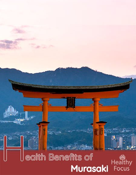 Health Benefits of Murasaki - Healthy Focus