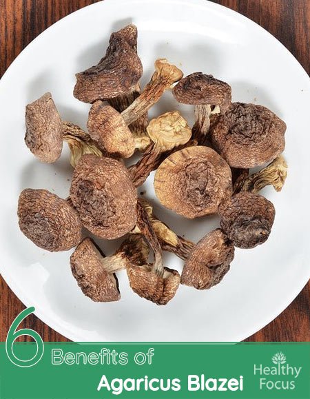 6 Benefits of Agaricus Blazei - Healthy Focus