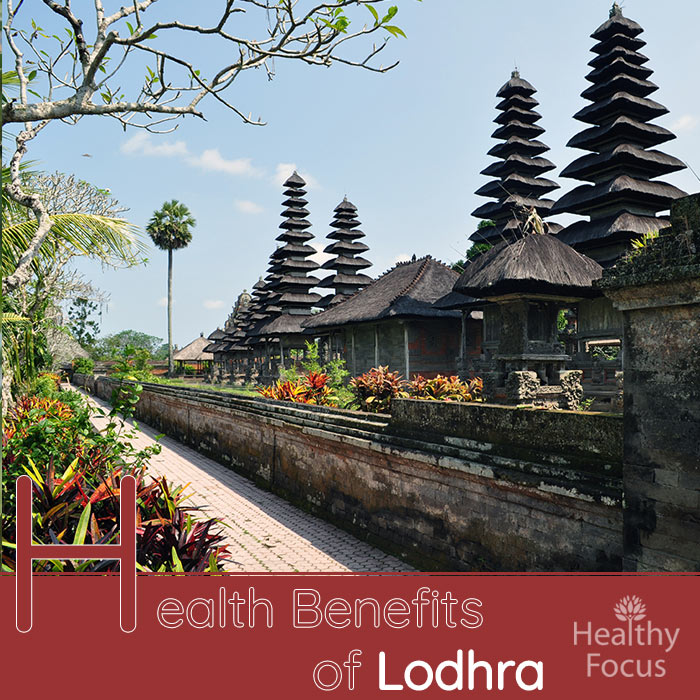 Health Benefits of Lodhra - Healthy Focus