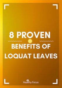 8 Proven Benefits of Loquat leaves - Healthy Focus