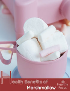 Health Benefits of Marshmallow - Healthy Focus