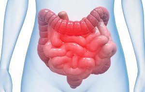 3 Important Facts About Fermented Food - Healthy Focus