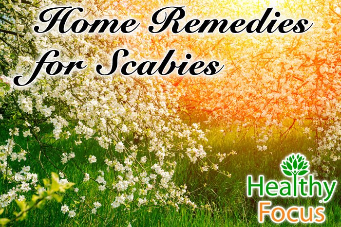 10 Proven Home Remedies for Scabies - Healthy Focus