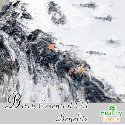 Birch Essential Oil Benefits - Healthy Focus