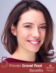 5 Proven Gravel Root Benefits - Healthy Focus