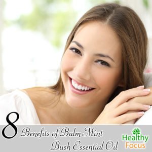 8 Benefits of Balm Mint Bush Essential Oil - Healthy Focus