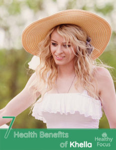 7 Health Benefits of Khella - Healthy Focus