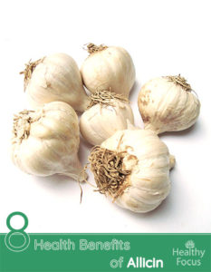 8 Health Benefits of Allicin - Healthy Focus